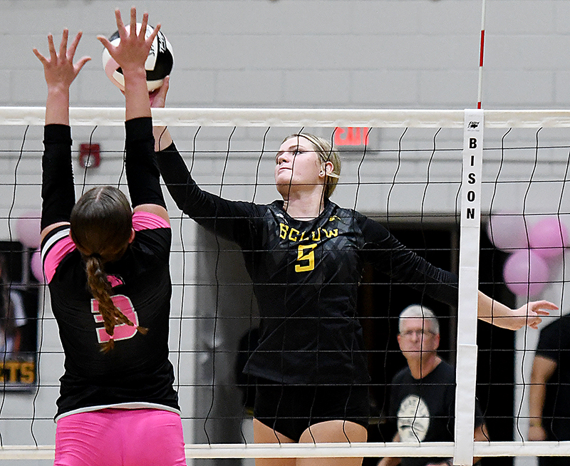 Comets chase off Redhawks in 3 | News, Sports, Jobs - Times Republican